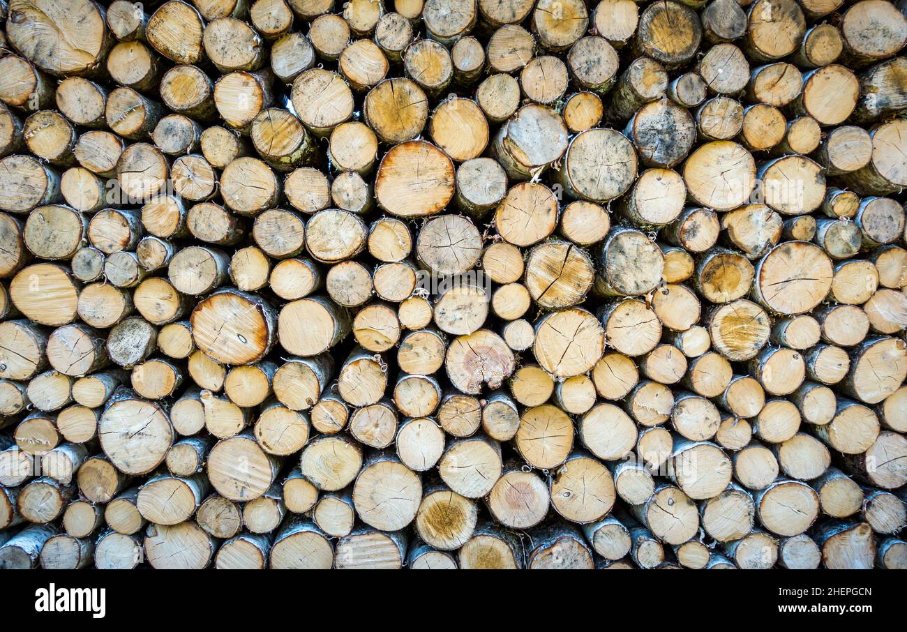 Stack of tree trunks. Texture background wallpaper Stock Photo - Alamy