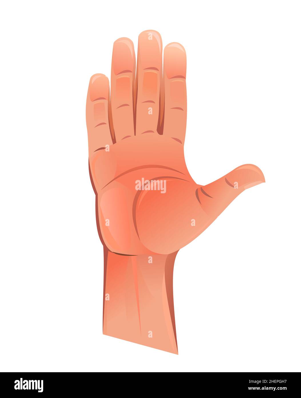 Palm of hand raised up. Object isolated on white background. Funny ...