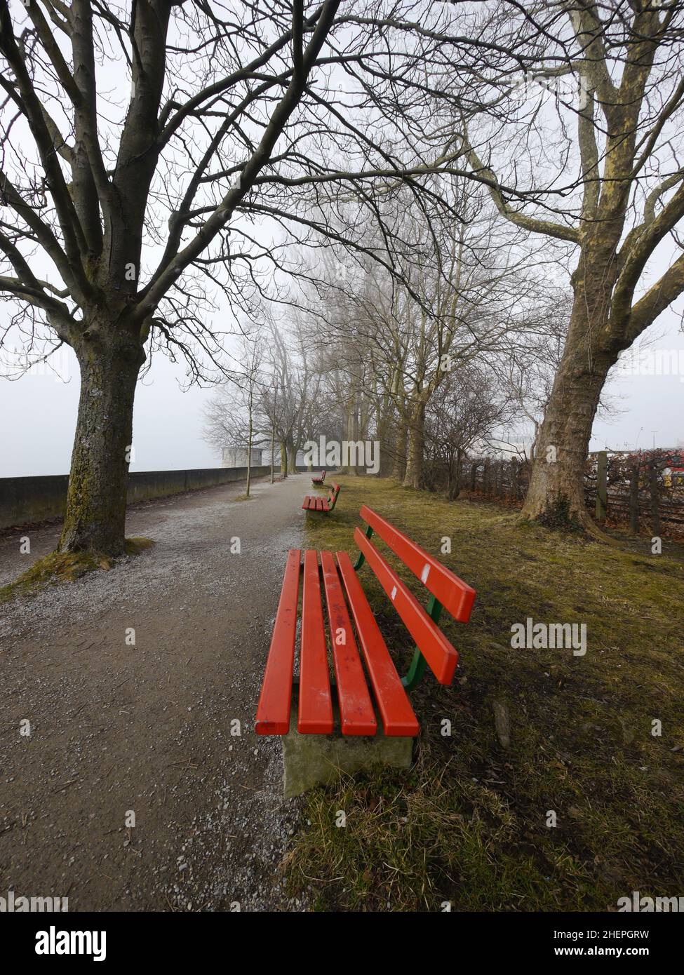 two bench standing lake Stock Photo - Alamy