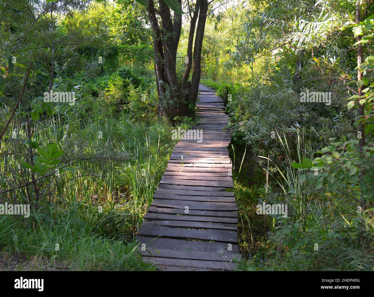 Small rustic wooden bridge Stock Photo - Alamy