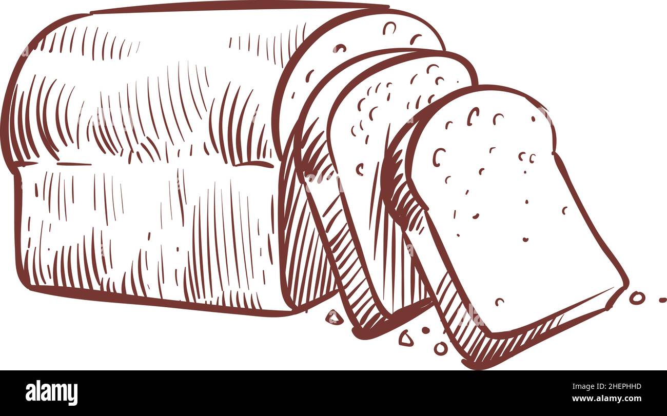 Toast slices sketch. Bread engraving in hand drawn style Stock Vector ...