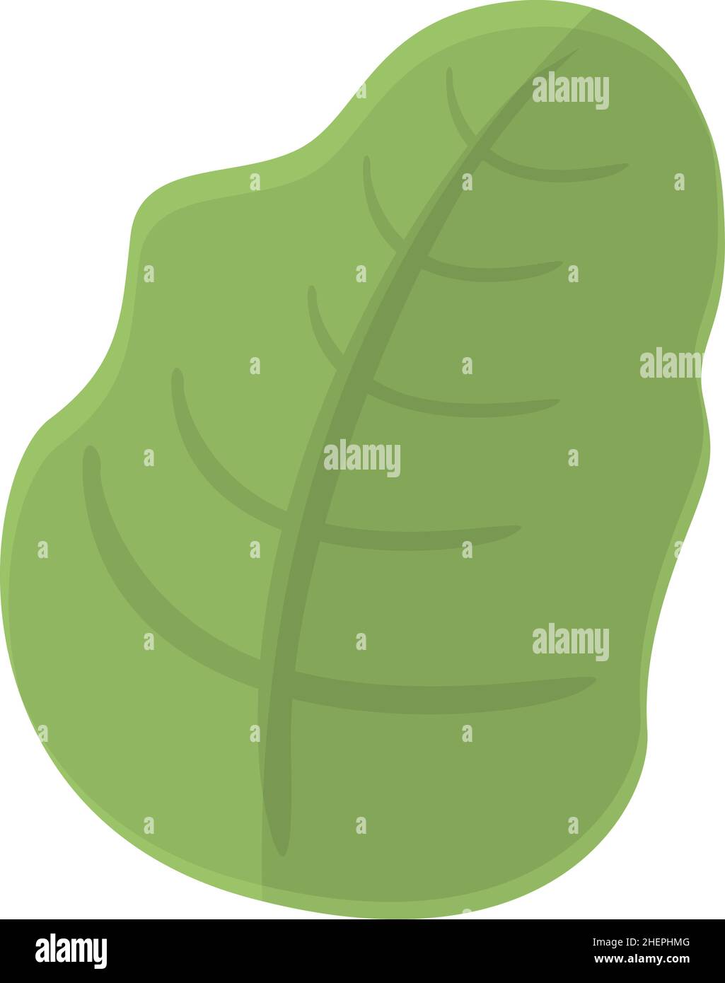 Spinach icon cartoon vector. Vegetable food. Green plant Stock Vector ...