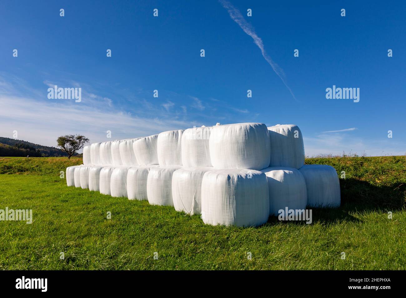 Bale straw packed in hi-res stock photography and images - Alamy