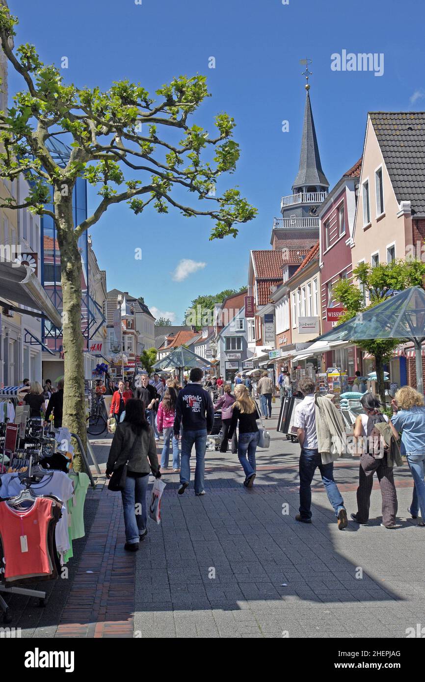 European plane, maple-leaved plane, London plane, London planetree ...