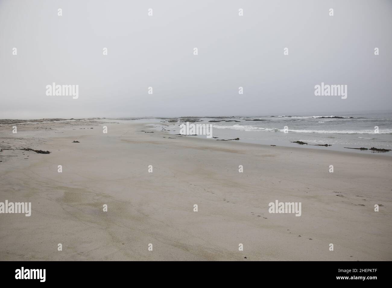 Kleinzee hi-res stock photography and images - Alamy