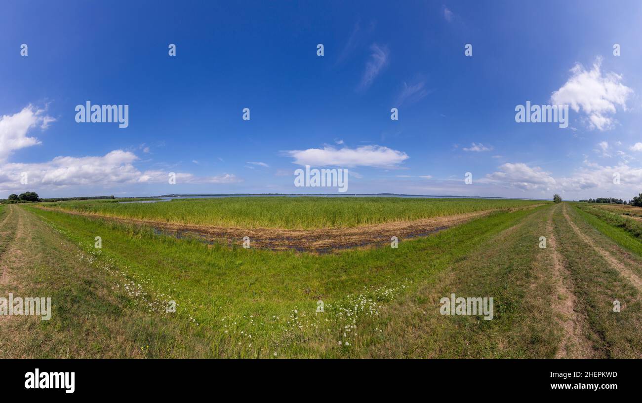 rural landscape in Usedom near Lutow with typical achterwsser creeks ...