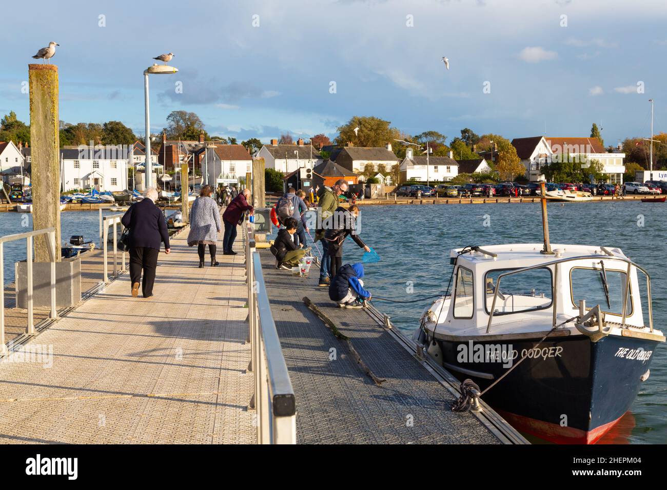 Family crab fishing on west mersea pontoon, mersea, uk Stock Photo - Alamy