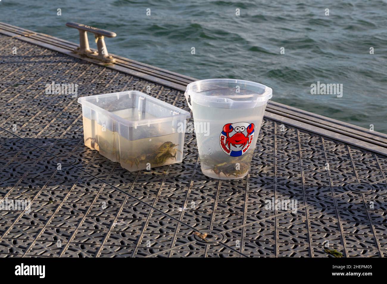 Crab fishing buckets, buckets full of crabs on west mersea pontoon ...