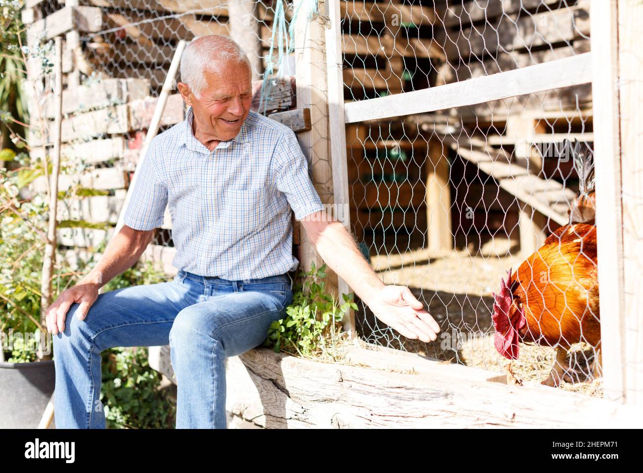 Man with hen hi-res stock photography and images - Alamy