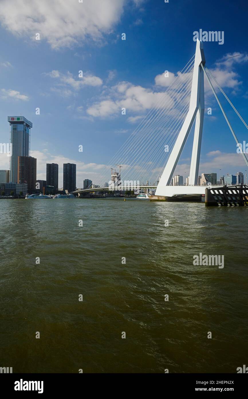 The amazing Erasmus Bridge in the city centre of Rotterdam Stock Photo ...