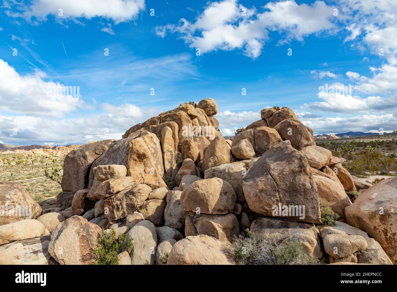 landscape with joshua trees in the Joshua tree national park Stock ...