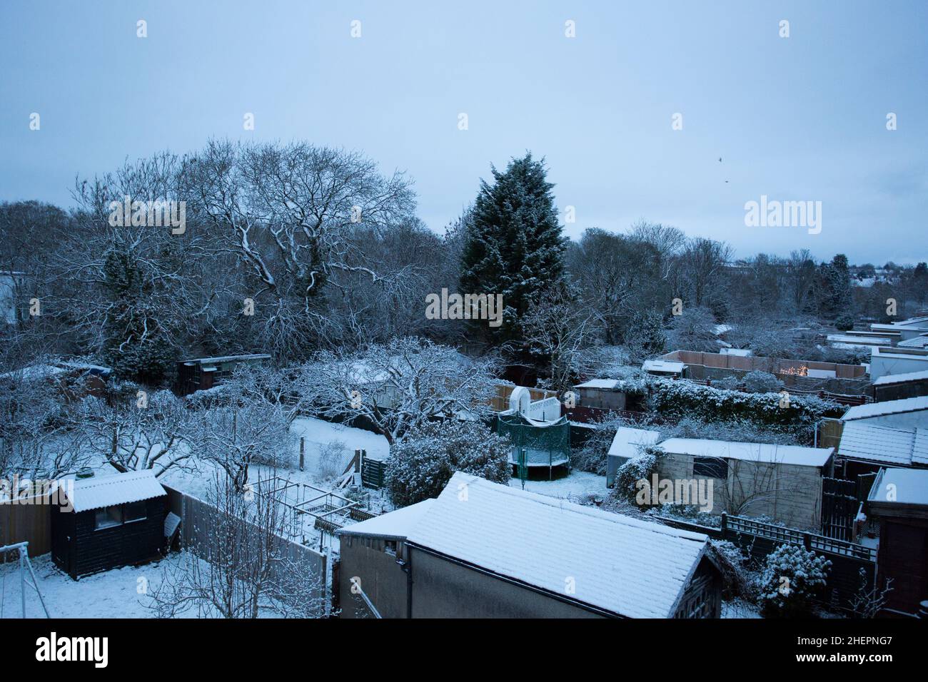 Snowy back gardens Stock Photo - Alamy