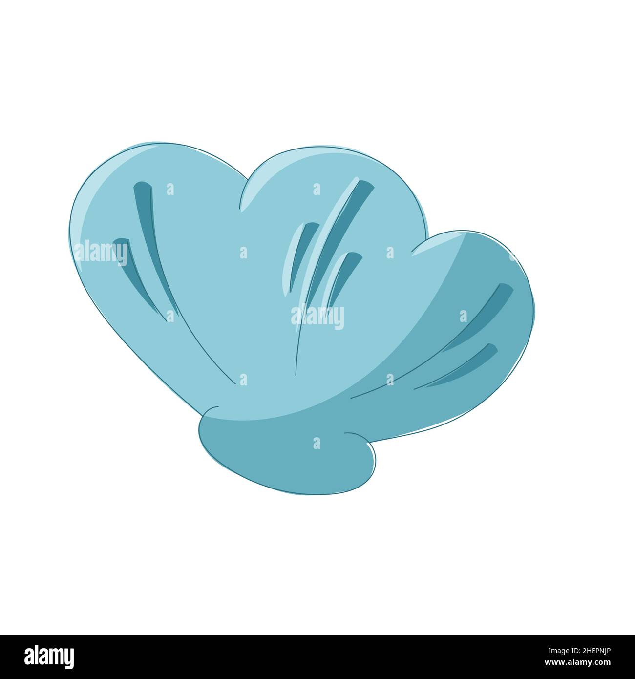 Sea shell illustration. Isolated on white background Stock Vector Image ...