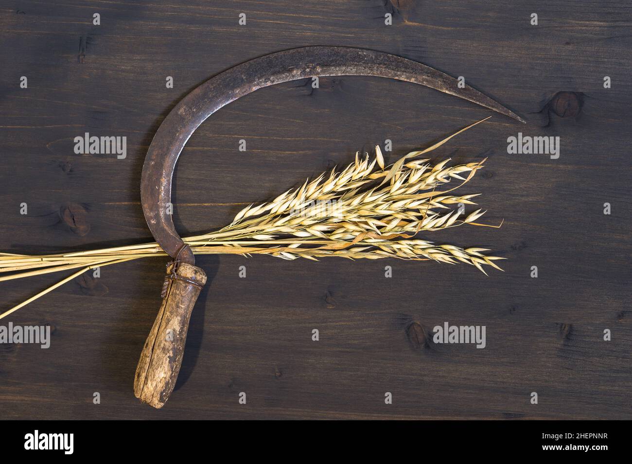An ancient sickle with dry ears of oats on a rustic wooden dark ...