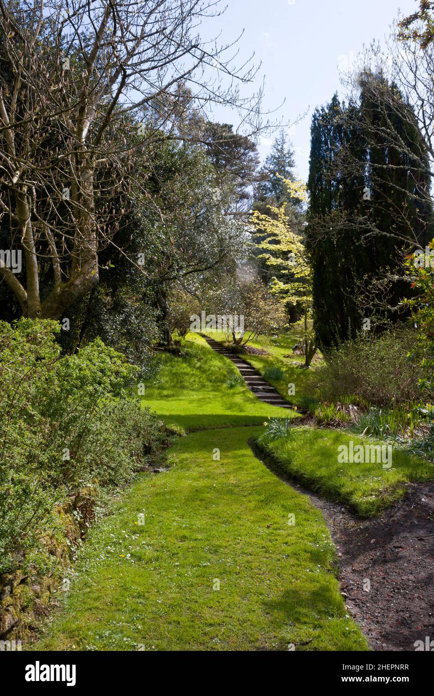 Residential garden, Scotland in spring Stock Photo - Alamy