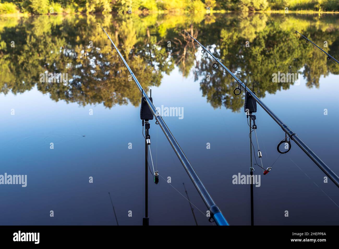 Fishing bottom rods in a row on a background of blue water with a ...