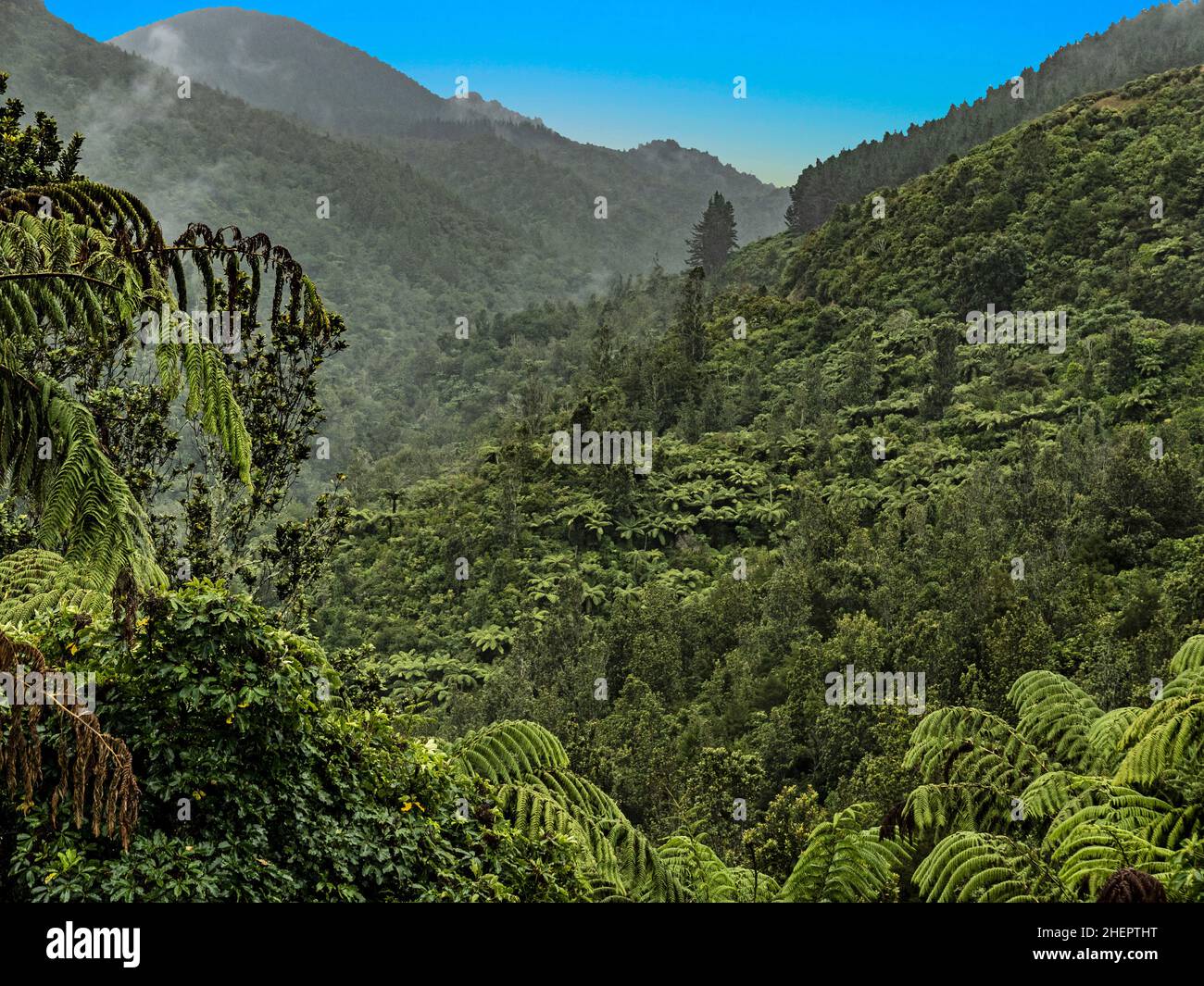 Hamurana springs hi-res stock photography and images - Alamy