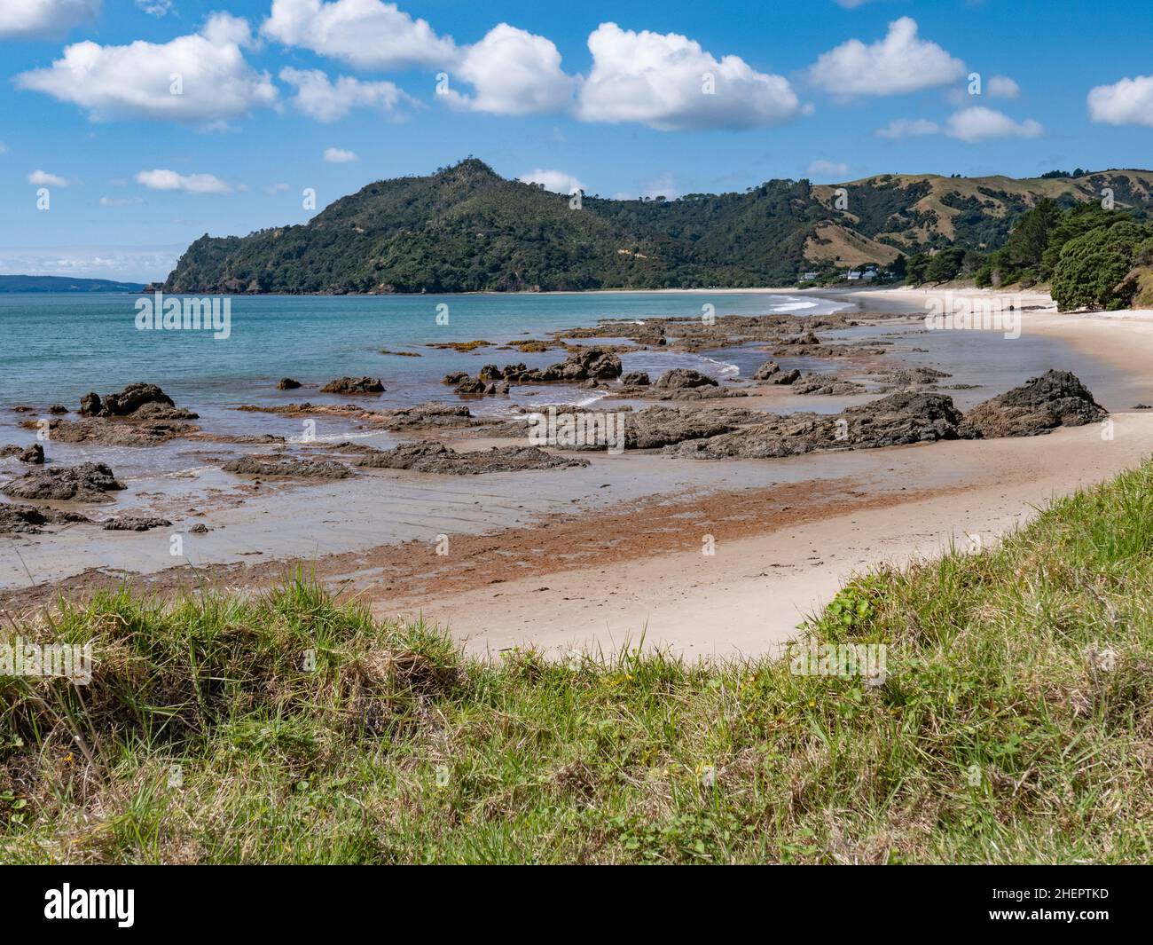 scenic Pauanui loop walk at the New Zealand coast Stock Photo - Alamy