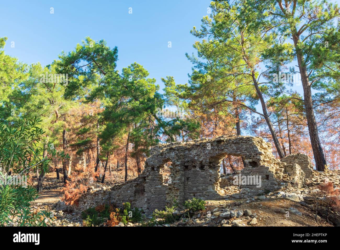 The fine Greco-Roman remains of the town of Seleucia (also known as ...
