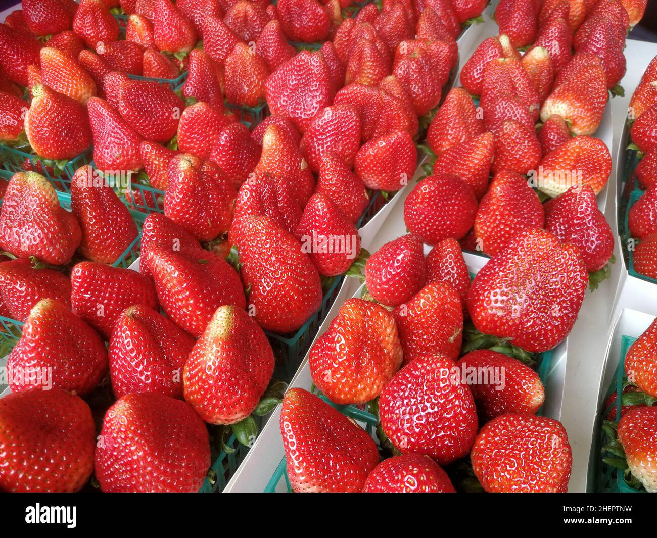 red strawberries from California in a basket Stock Photo - Alamy