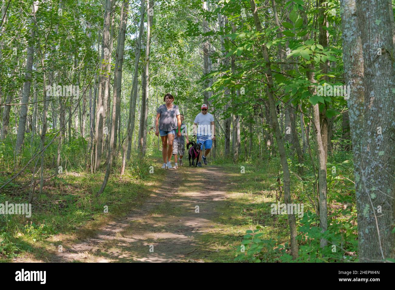 A young family with a dog enjoying a fall afternoon by hiking at a Door ...