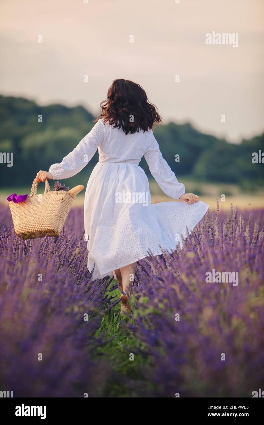 gorgeous woman in white dress at lavender field sunset time Stock Photo - Alamy