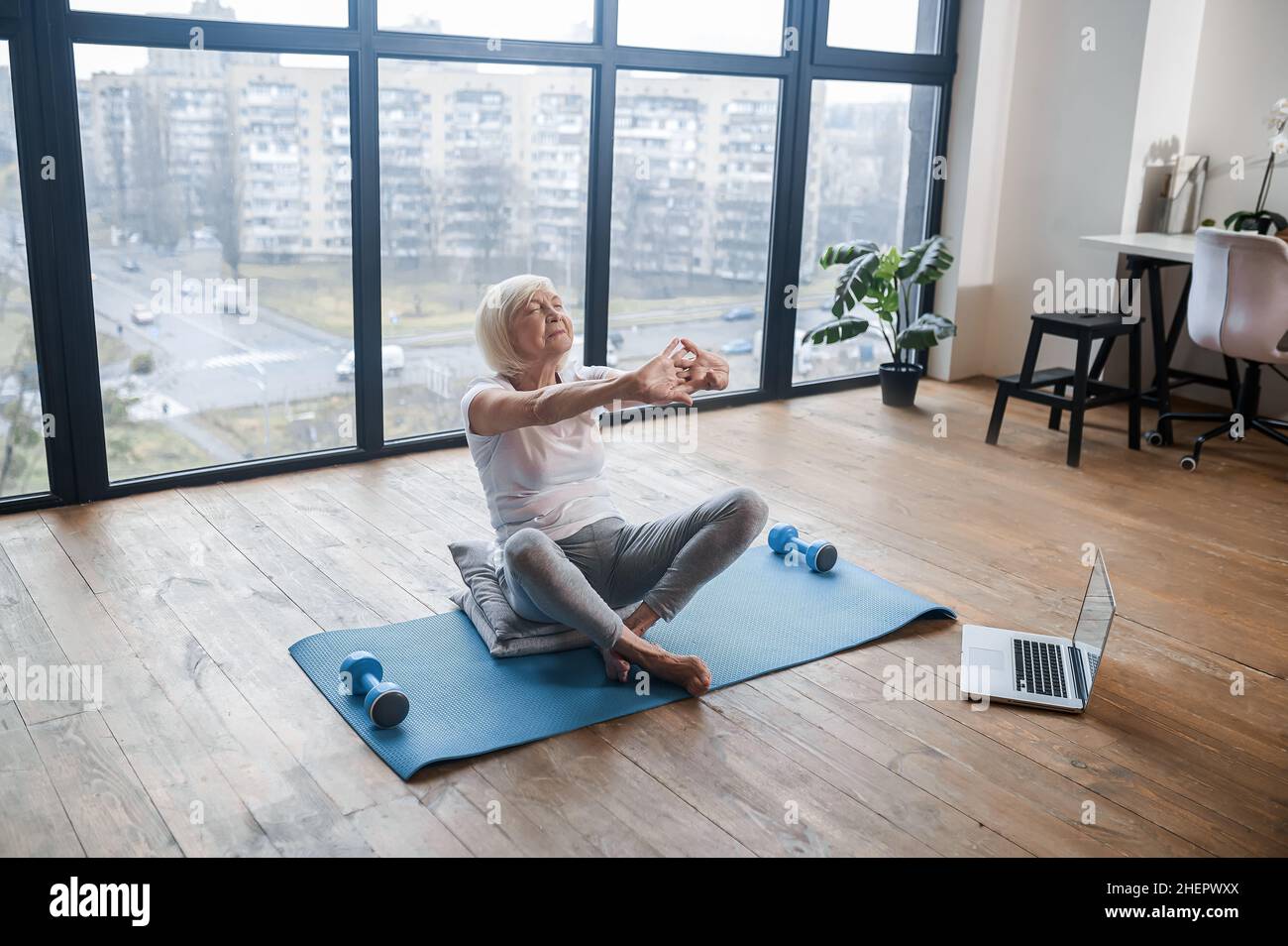 Gray haired woman laptop in hi-res stock photography and images - Alamy
