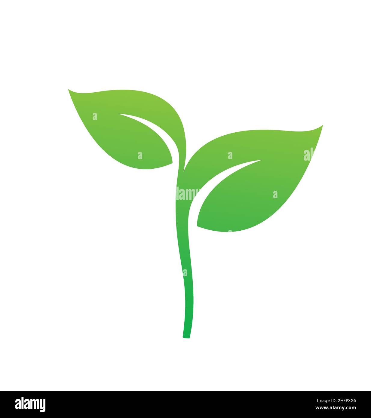 stylized lush green seedling leaf with stem icon vector isolated on ...
