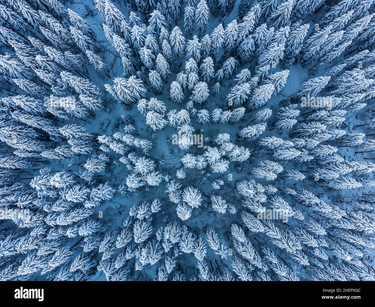 Sappada and its mountains from above. Inveron of magic Stock Photo - Alamy