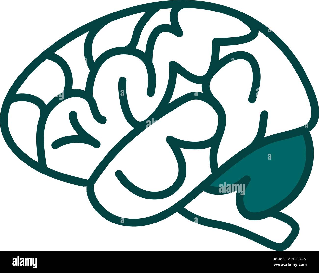 Brain Icon. Editable Bold Outline With Color Fill Design. Vector ...