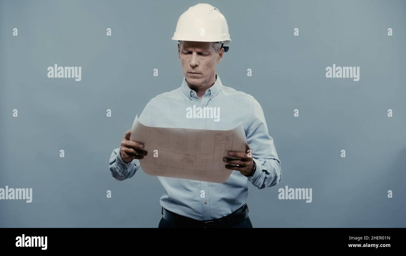 Mature engineer looking at blueprint isolated on grey Stock Photo - Alamy