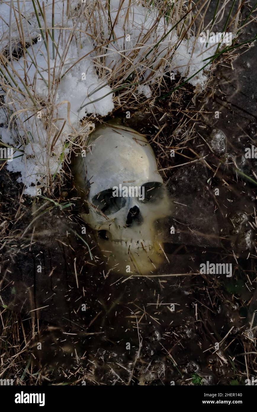 Human gore hi-res stock photography and images - Alamy