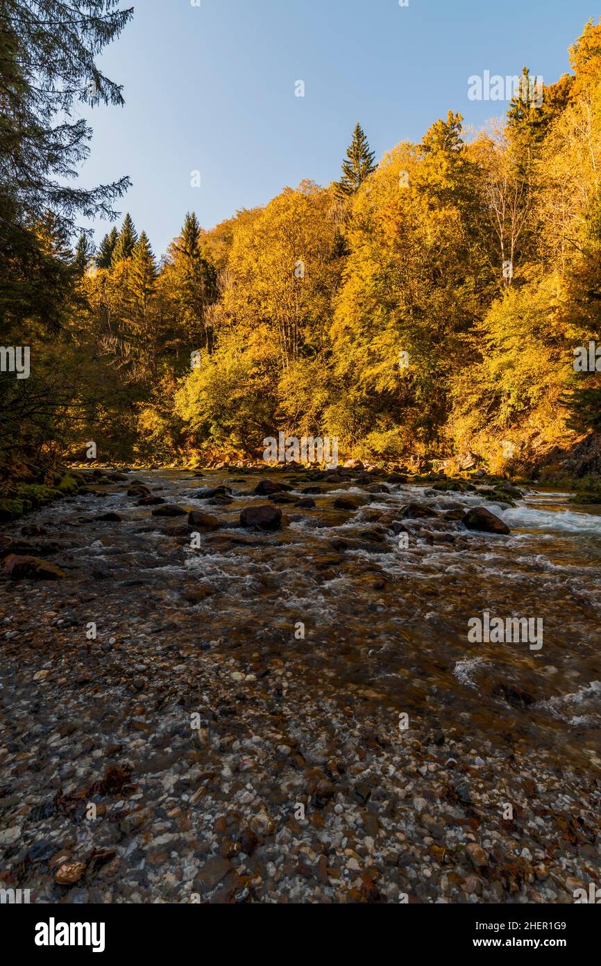Autumn colors in the Slizza ravine. Tarvisio Stock Photo - Alamy