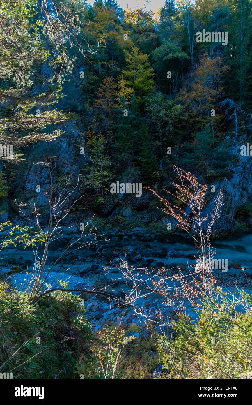 Autumn colors in the Slizza ravine. Tarvisio Stock Photo - Alamy