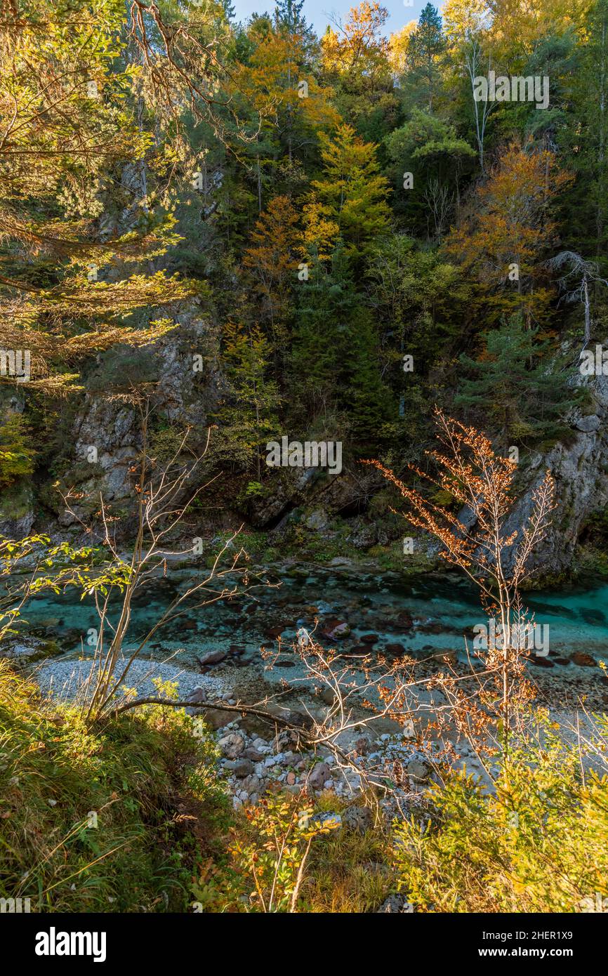Autumn colors in the Slizza ravine. Tarvisio Stock Photo - Alamy