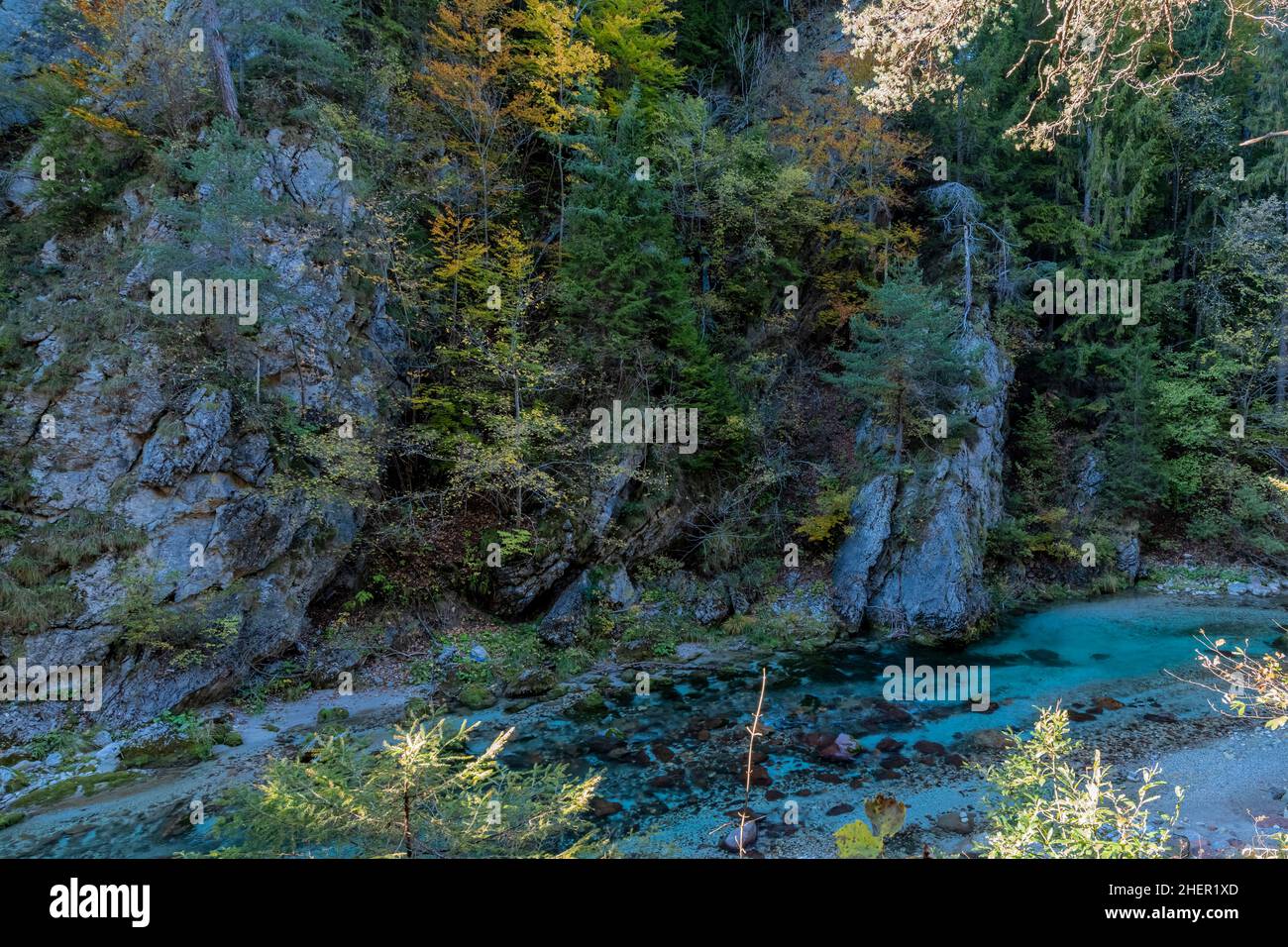 Autumn colors in the Slizza ravine. Tarvisio Stock Photo - Alamy
