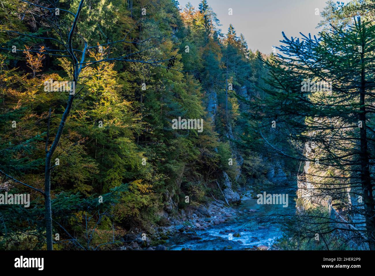 Autumn colors in the Slizza ravine. Tarvisio Stock Photo - Alamy