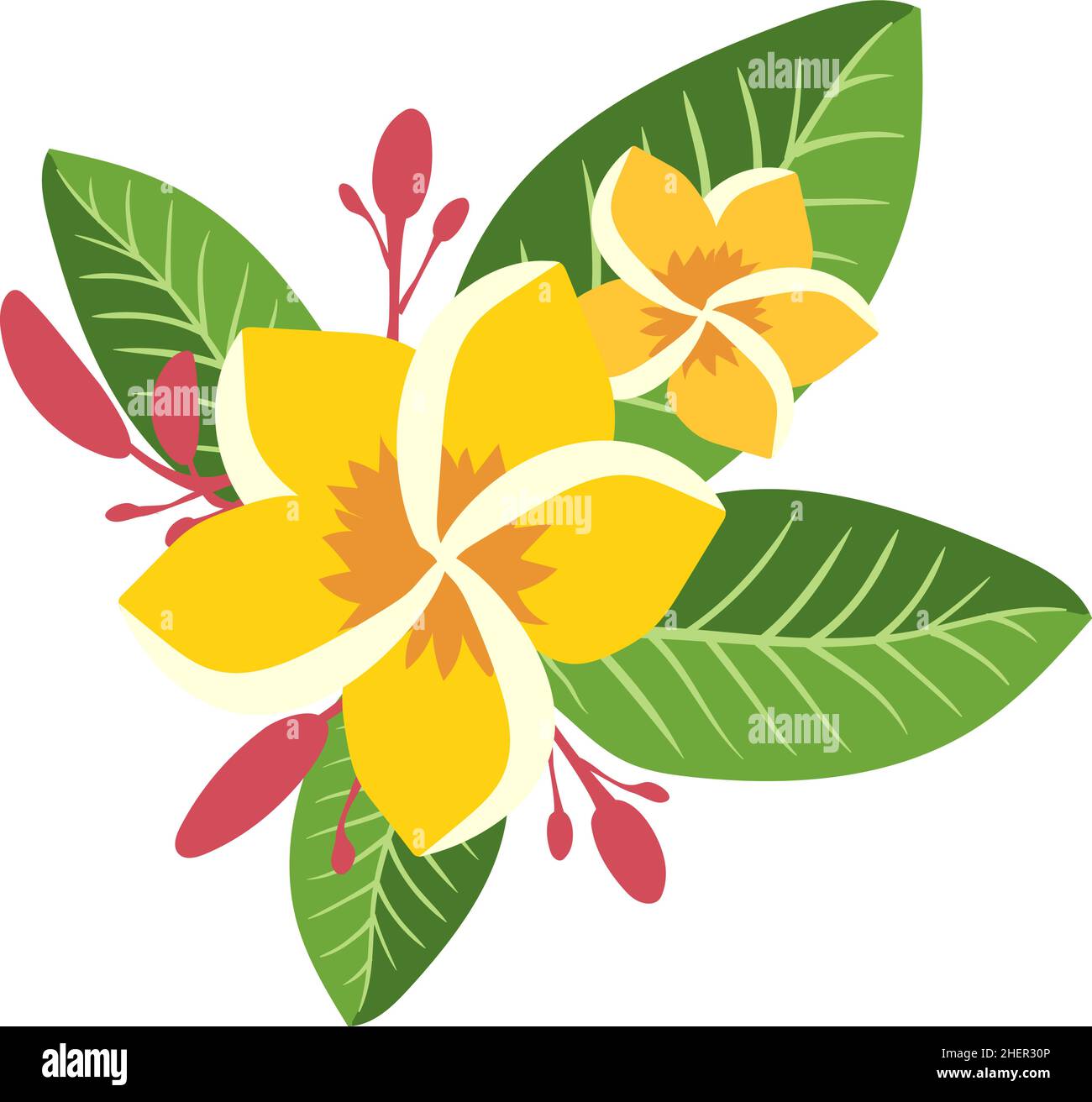 Yellow flowers on green leaves. Tropical paradise symbol Stock Vector ...