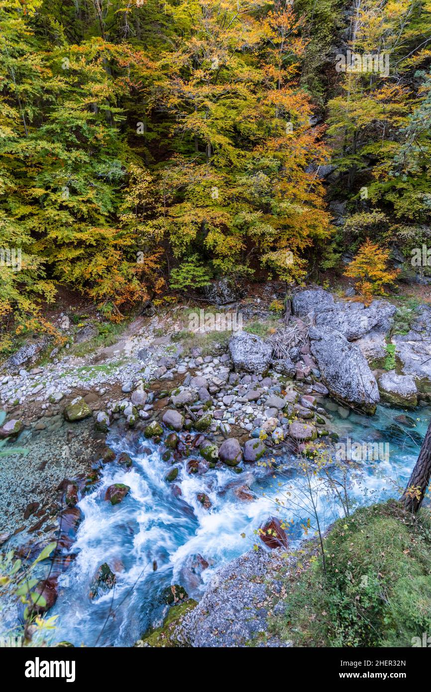 Autumn colors in the Slizza ravine. Tarvisio Stock Photo - Alamy