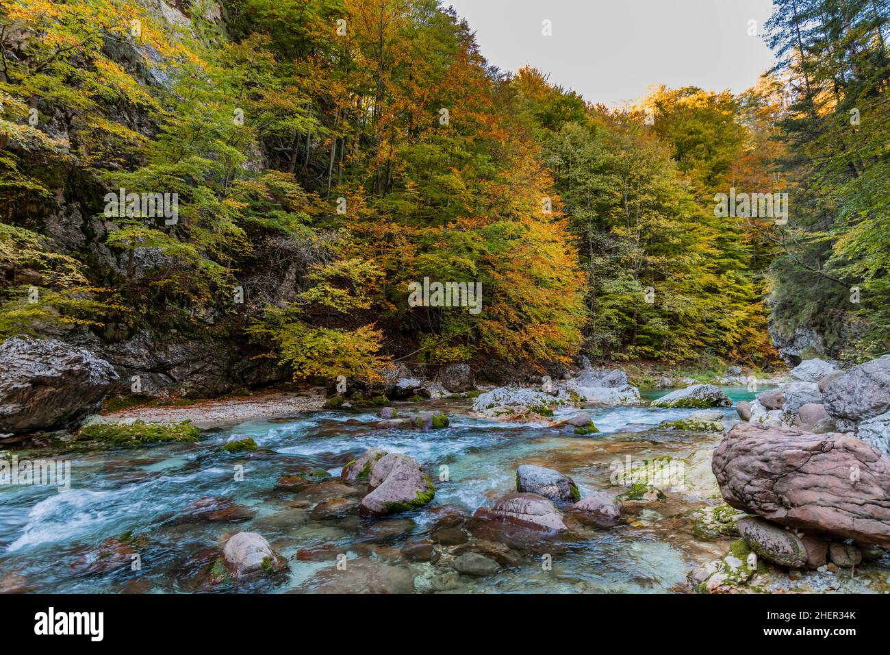 Autumn colors in the Slizza ravine. Tarvisio Stock Photo - Alamy