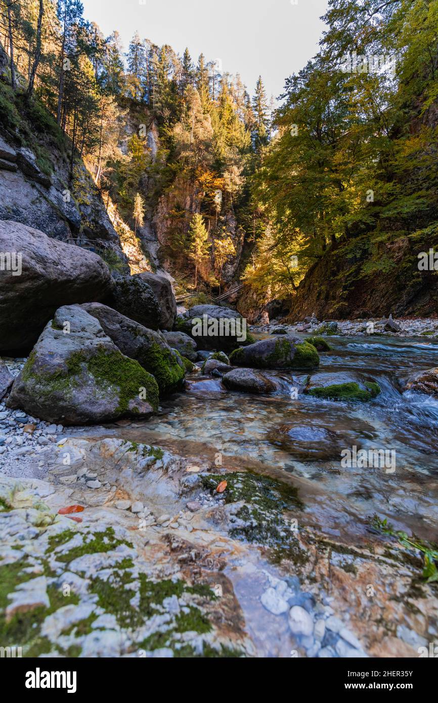 Autumn colors in the Slizza ravine. Tarvisio Stock Photo - Alamy