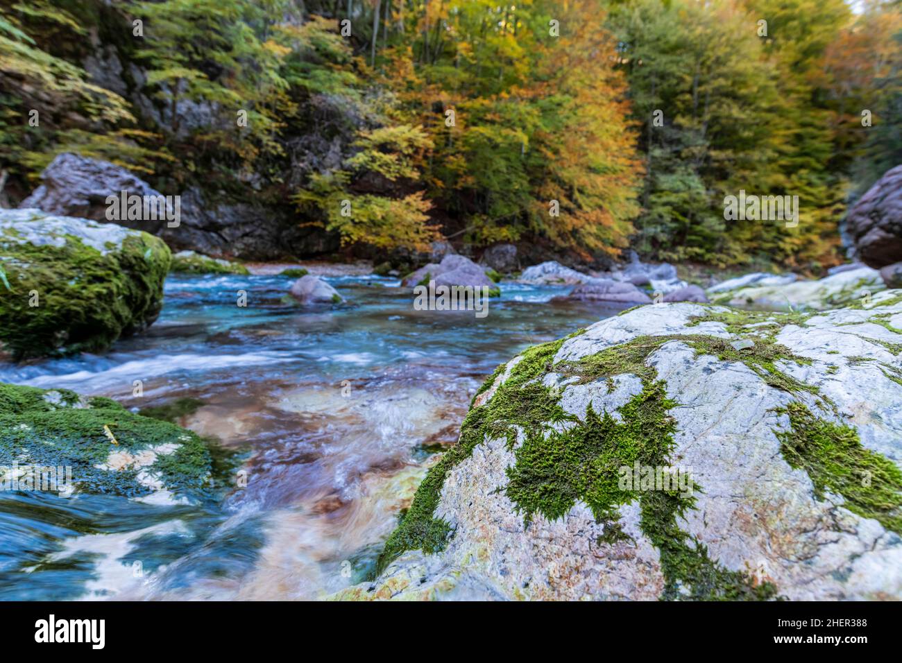 Autumn colors in the Slizza ravine. Tarvisio Stock Photo - Alamy