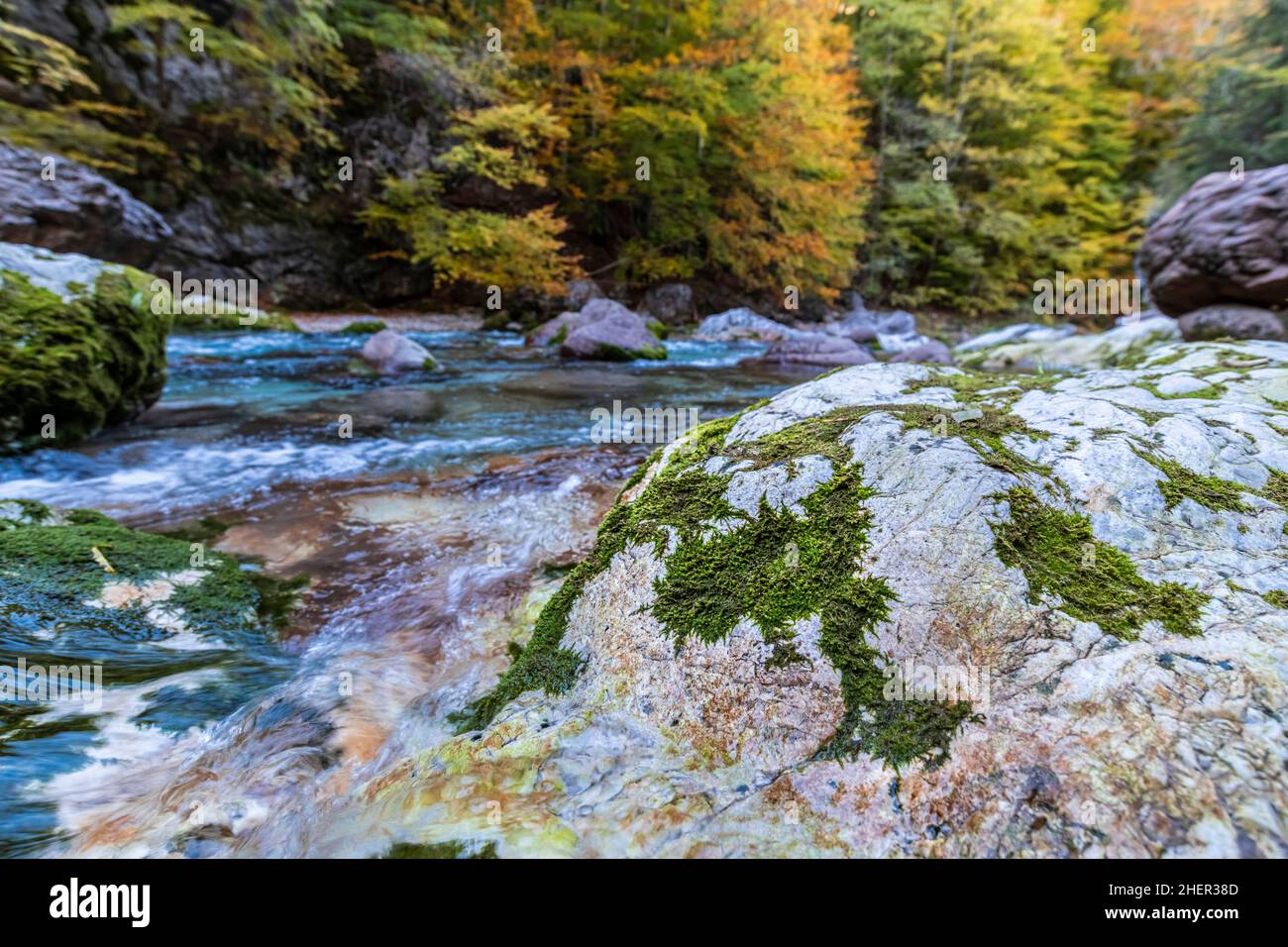 Autumn colors in the Slizza ravine. Tarvisio Stock Photo - Alamy