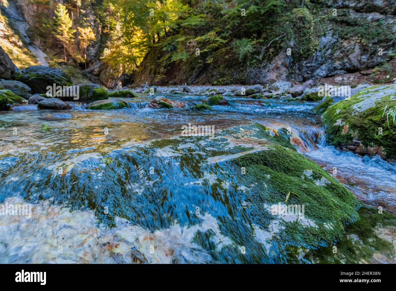 Autumn colors in the Slizza ravine. Tarvisio Stock Photo - Alamy