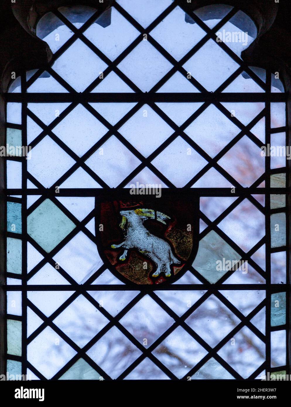 Stained glass goat hi-res stock photography and images - Alamy