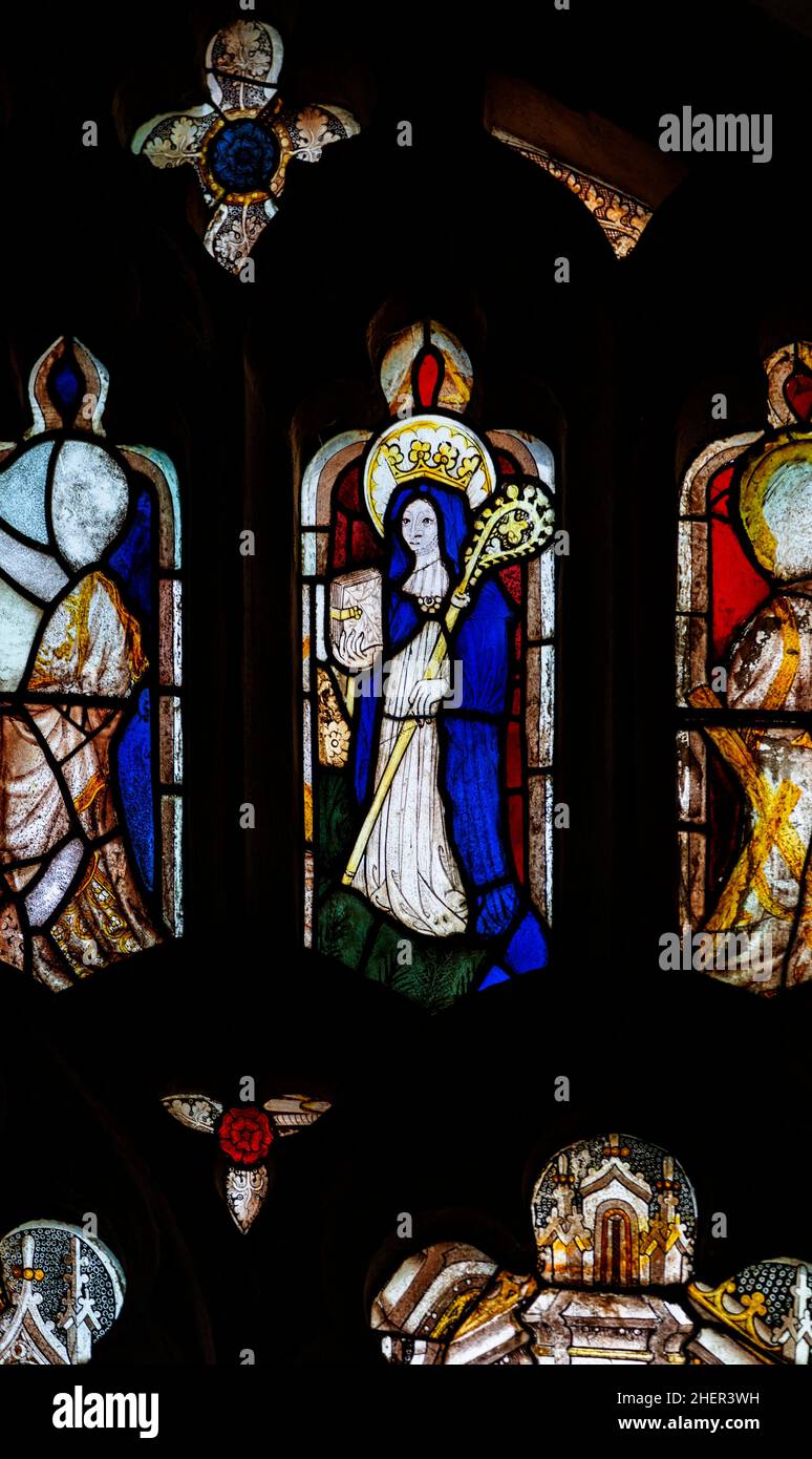 15th century medieval stained glass church window, Norton, Suffolk ...