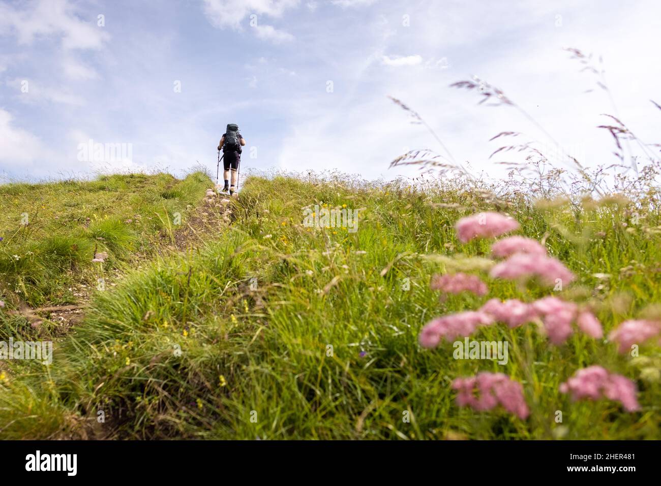 Hiker with flowers hi-res stock photography and images - Alamy