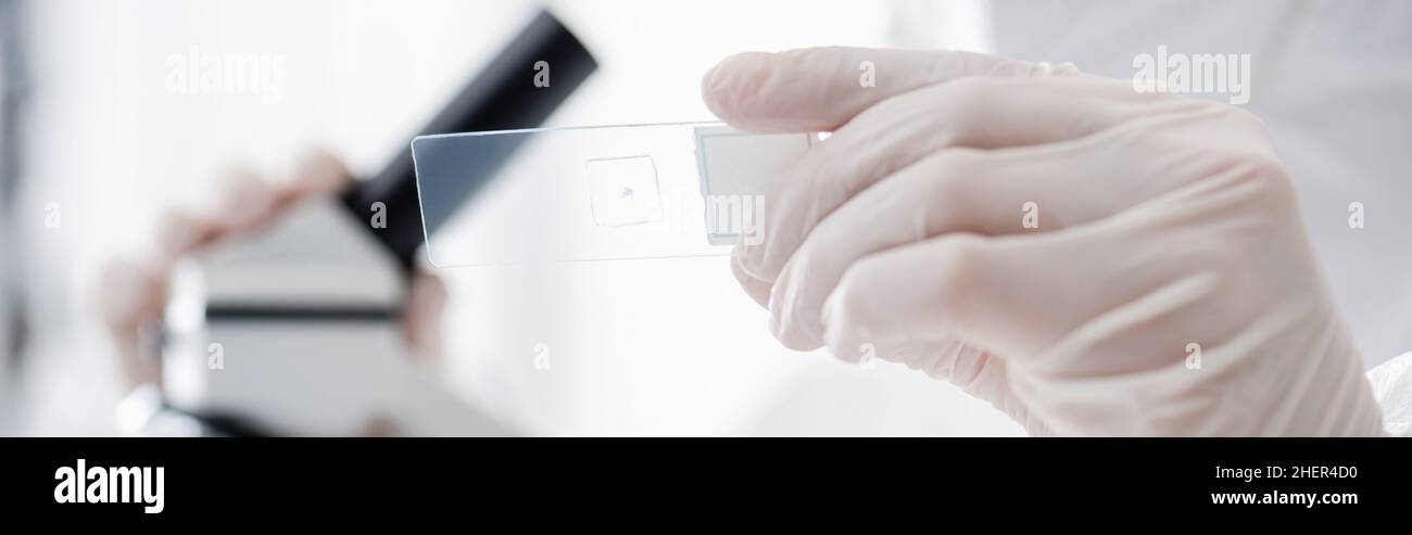 selective focus of laboratory slide in hand of scientist working with ...
