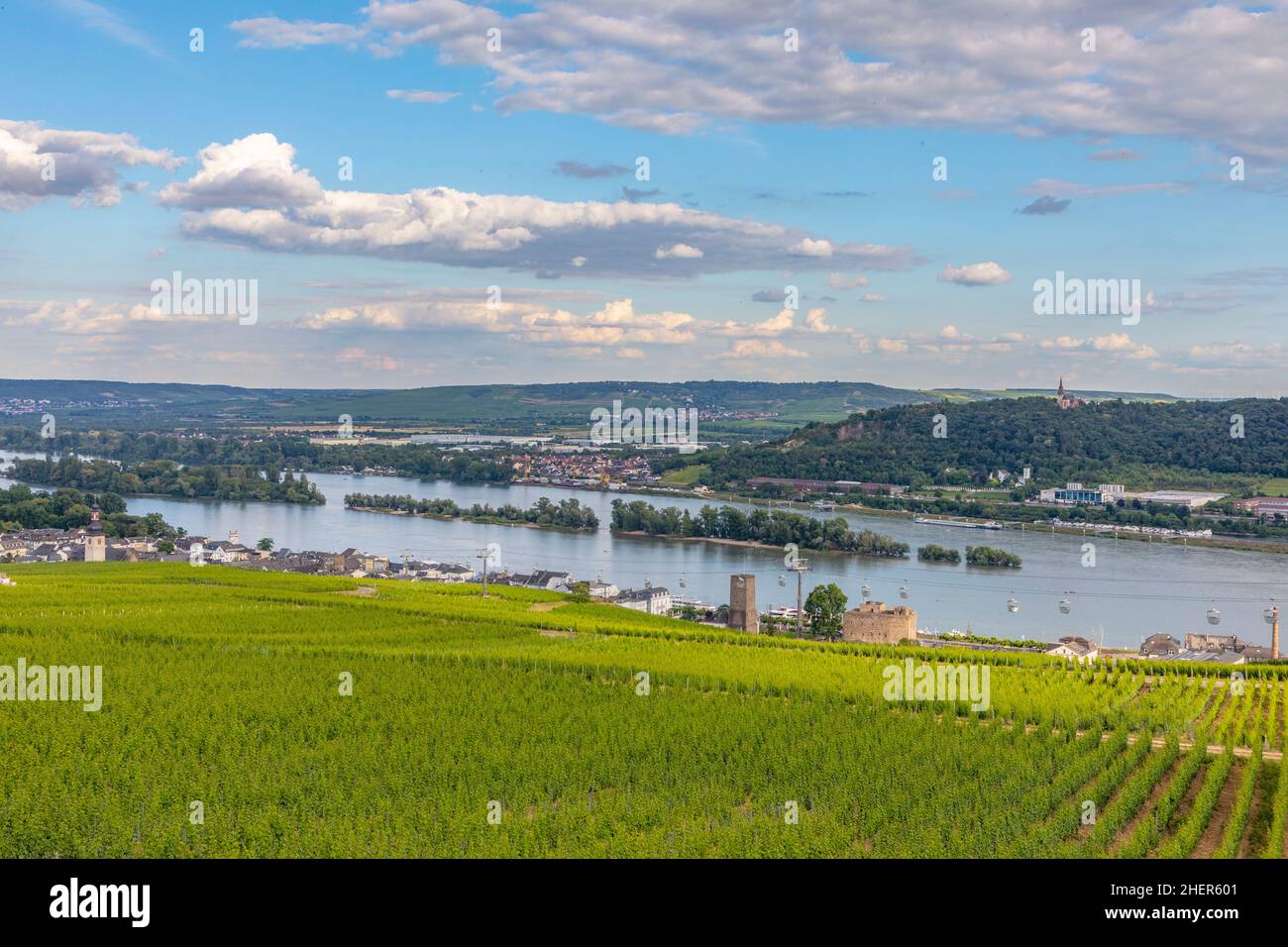 scenic vineyard landscape with river Rhine view at Ruedesheim, Germany ...
