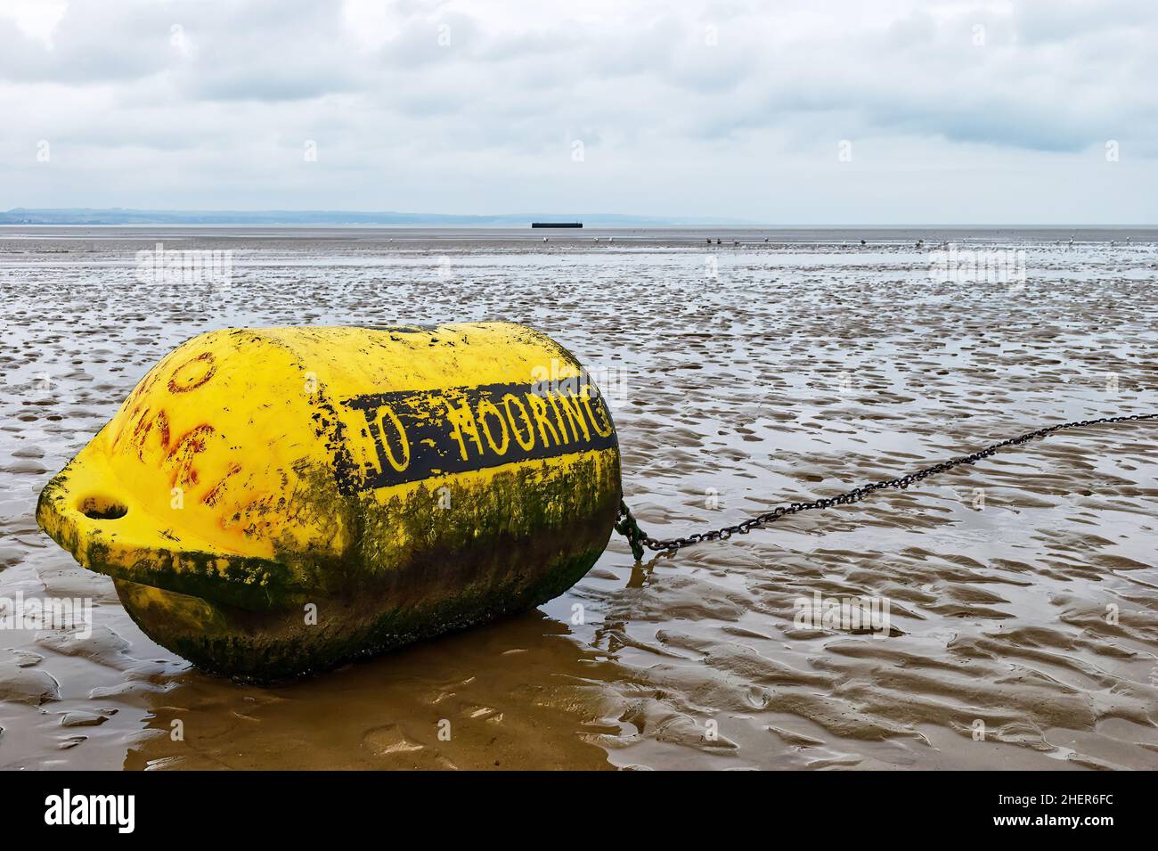 Buoy mooring chain hi-res stock photography and images - Alamy